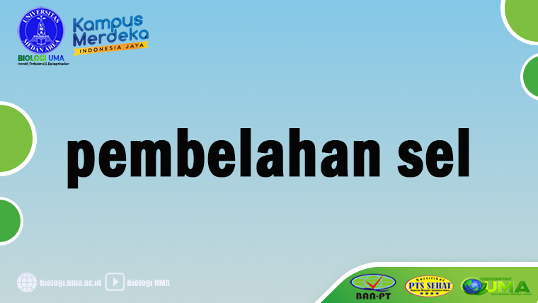 bagian baru dari mekanisme regulasi pembelahan sel