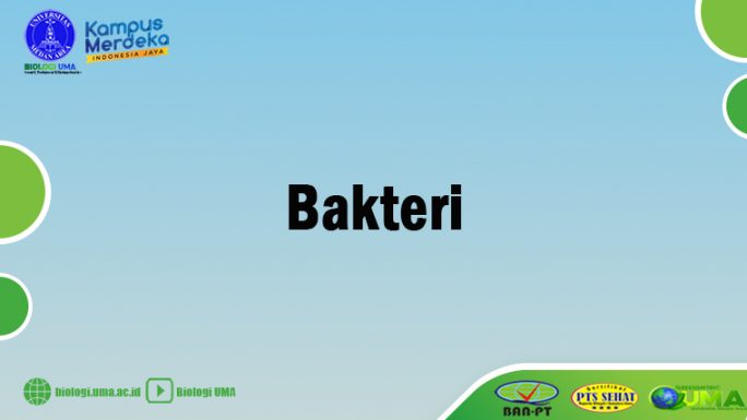 Pembentukan pigmen karotenoid pada bakteri