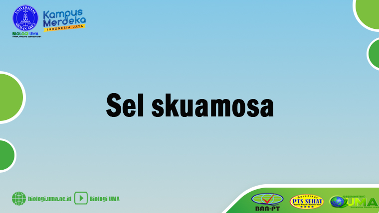 Terapi baru diidentifikasi pada karsinoma paru sel skuamosa